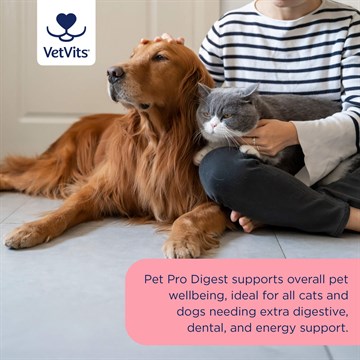Pet Pro Digest | Pet Digestion Probiotic | Healthspan