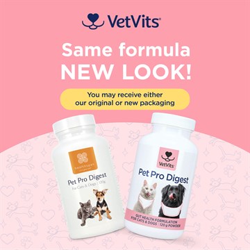 Pet Pro Digest | Pet Digestion Probiotic | Healthspan